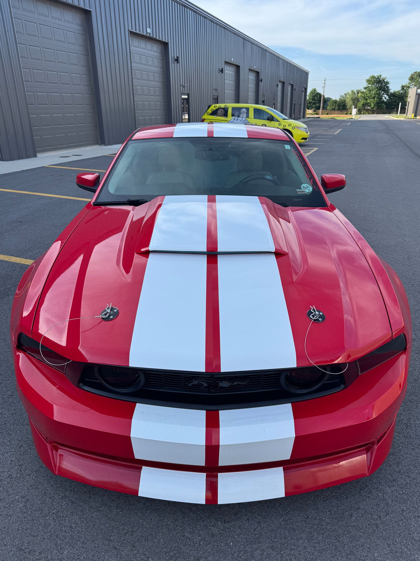 Ford Mustang Racing Stripes – ridgewraps